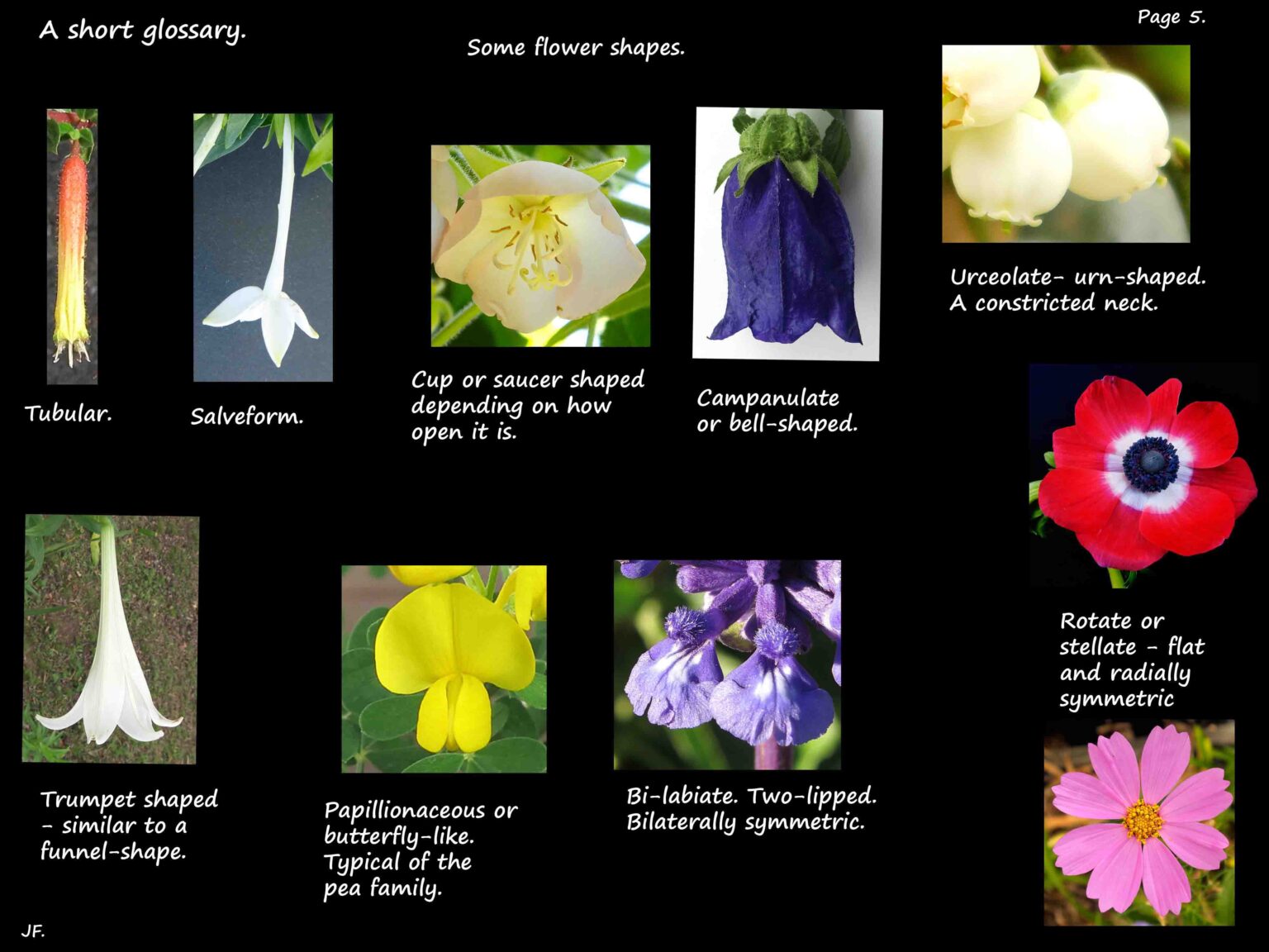 A short plant glossary - Botany Brisbane